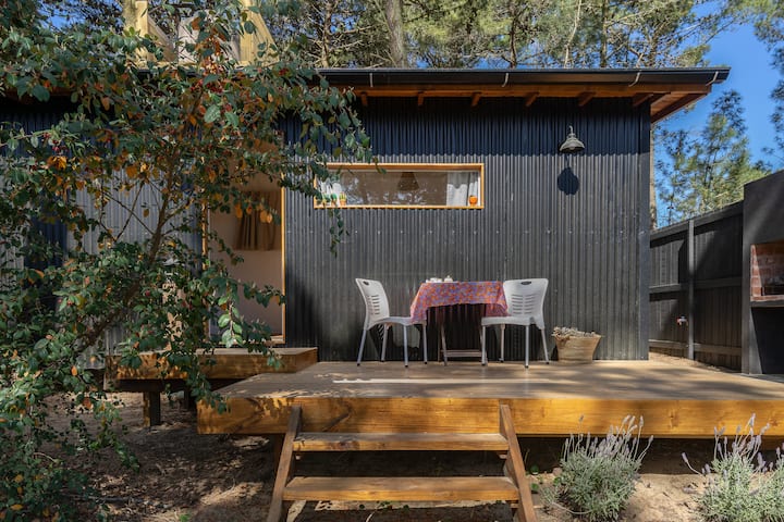 Hermosa Mini Casa En Pinamar, Rodeada De Pinos - Pinamar
