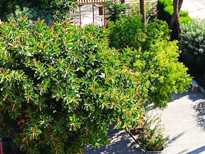 Beach Nice Flat - Puzol