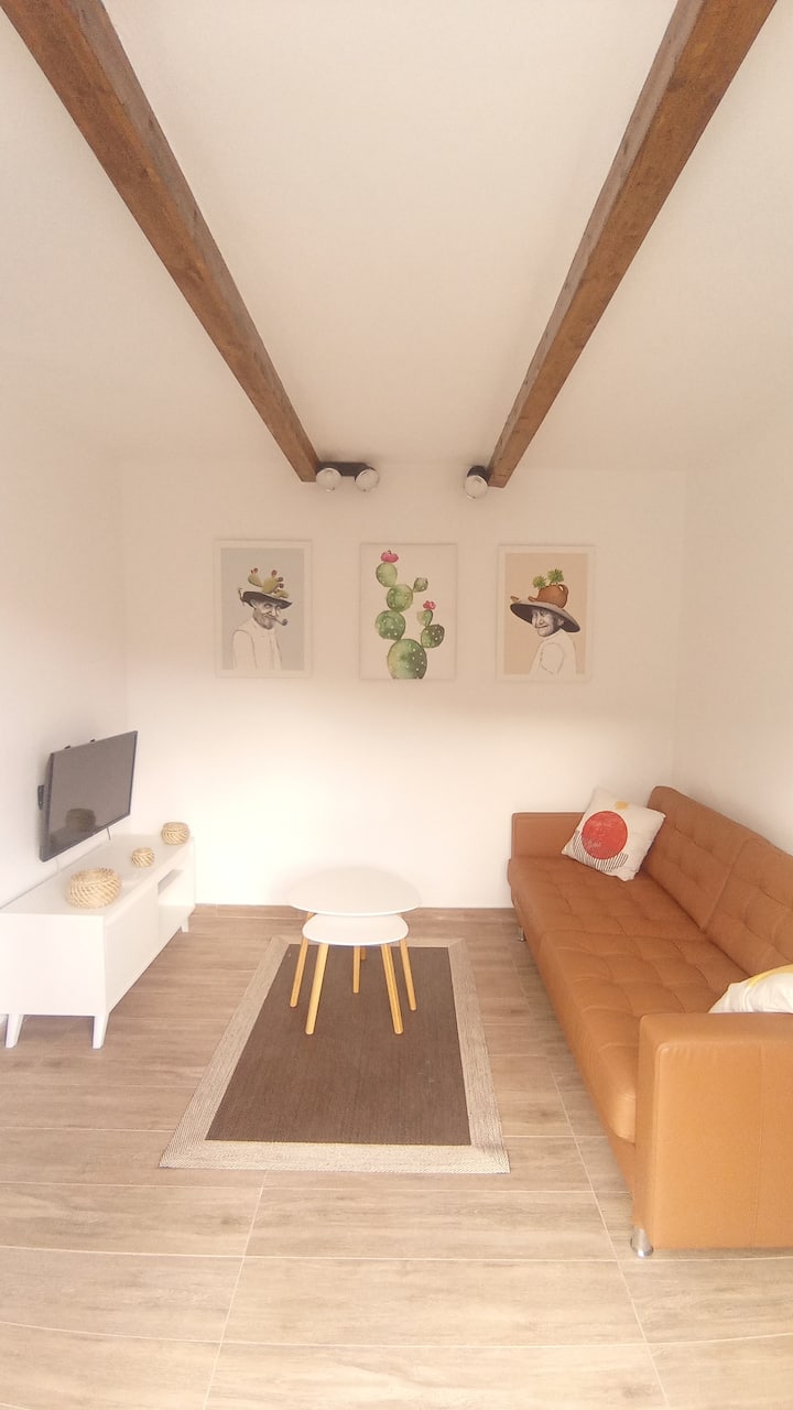 Casa El ÁRbol De Bibiana 2 - San Sebastián de La Gomera