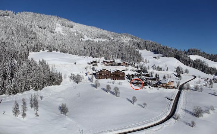 Mühlbacher Lodge, 60 M2, 1200+m, Ski Amadé - Mühlbach am Hochkönig