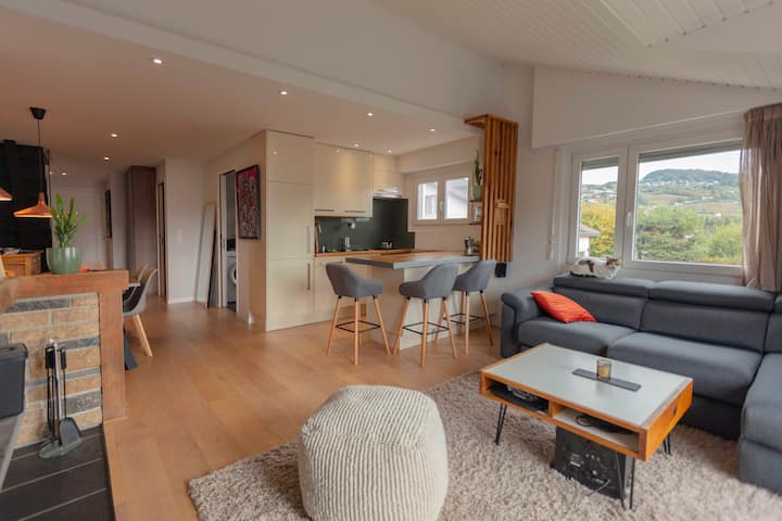 Superbe Appart Cosy Et Calme - Lausanne