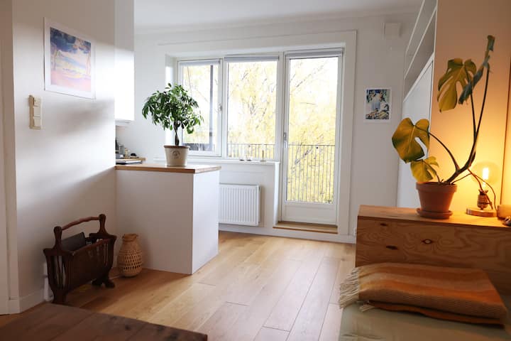 Lys Og Fin Leilighet Med Balkong - Oslo