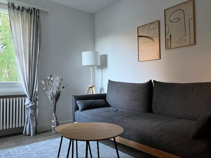 Studio Moderne Pour Les Amateurs De Nature. - Adelboden