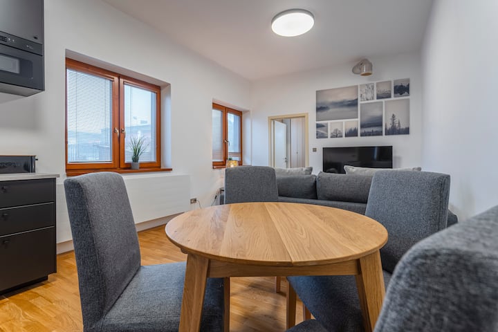 Apartment 6 - U Pivovaru Bozi Dar - Oberwiesenthal