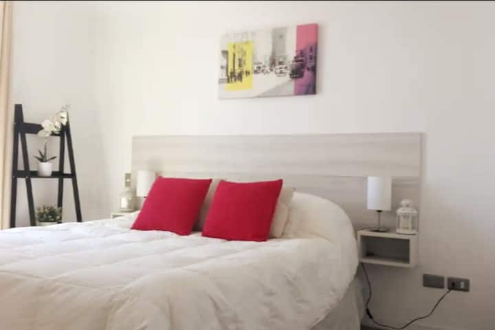 Departamento Santiago/bellavista - Santiago