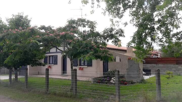 Maison Albizia - Le Teich