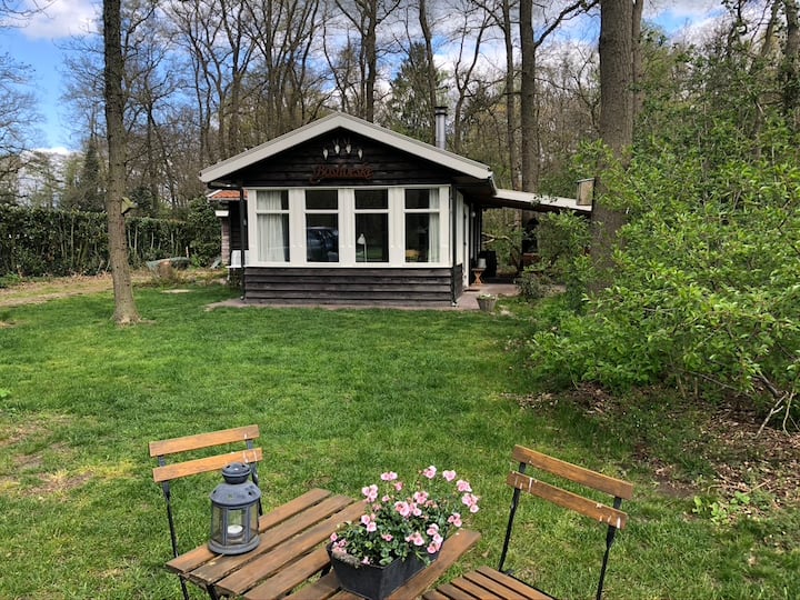 Boshoeske In Twente - Hengelo