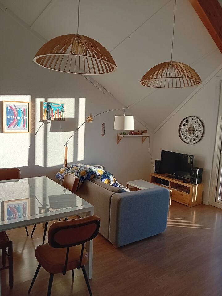 Appartement Pied De Pistes 6 Personnes - Plateau de Beille