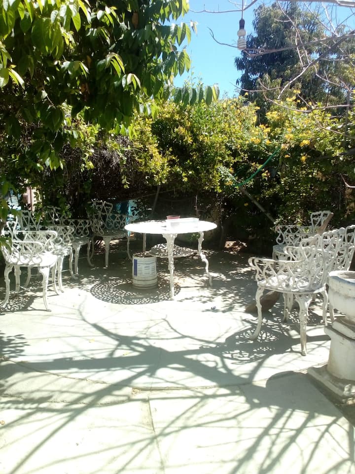 Casa Tamarindo - La Paz