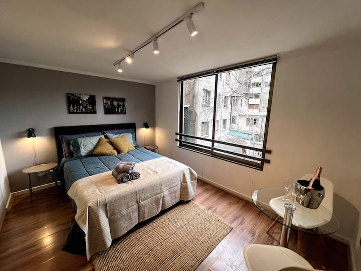 Depto Encanto Santiago - Providencia