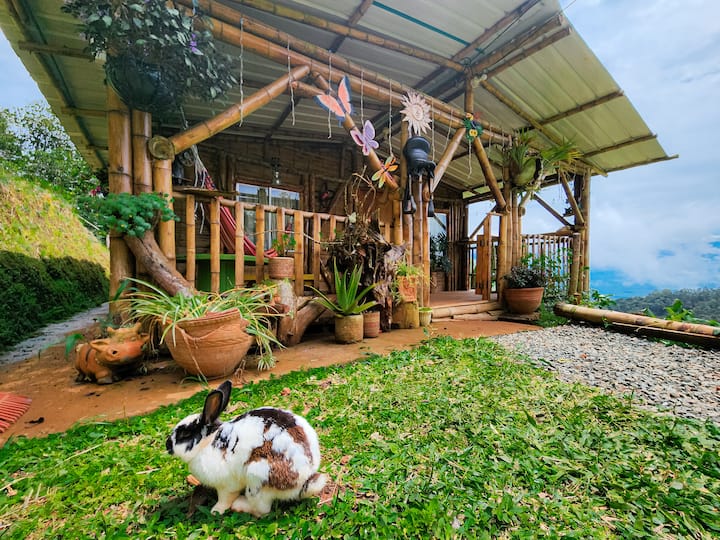 Cabaña Bambú | Dapa | Jacuzzi - Valle del Cauca