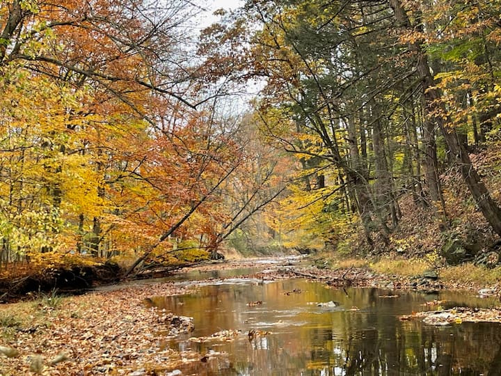 Manada Creek Life - Hershey - Hershey, PA