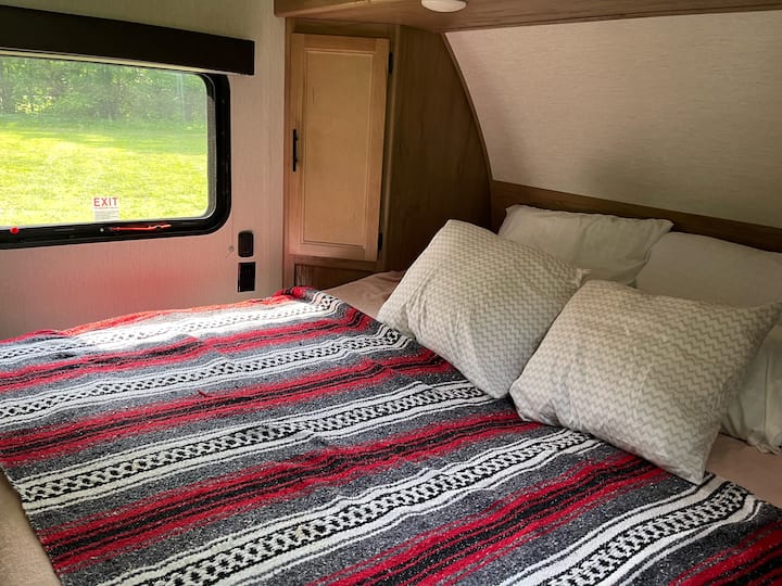 The Wolf Pup Experience W/ Bunk Beds & Queen Bed - Key Largo
