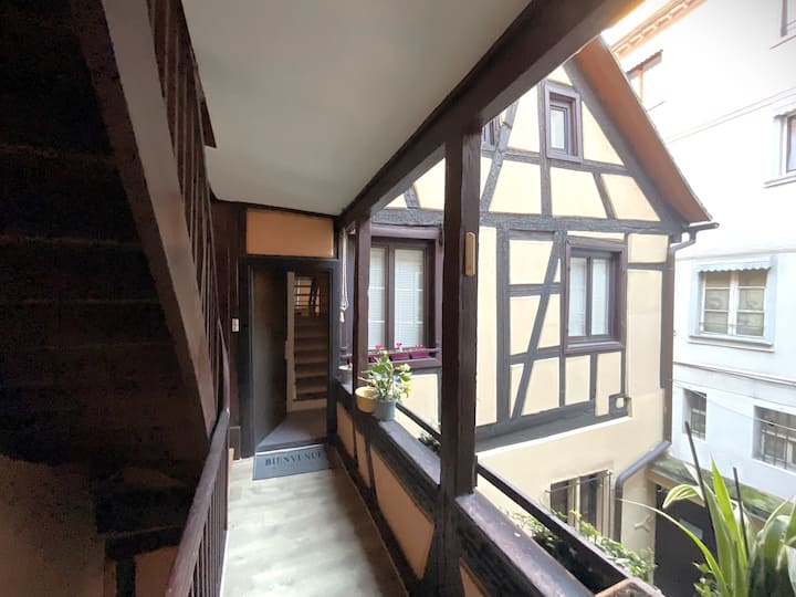 Duplex In The Heart Of Town - Estrasburgo