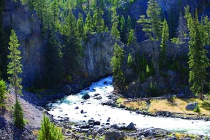 Yellowstone, Mt, 2-bedroom T #1 - West Yellowstone, MT