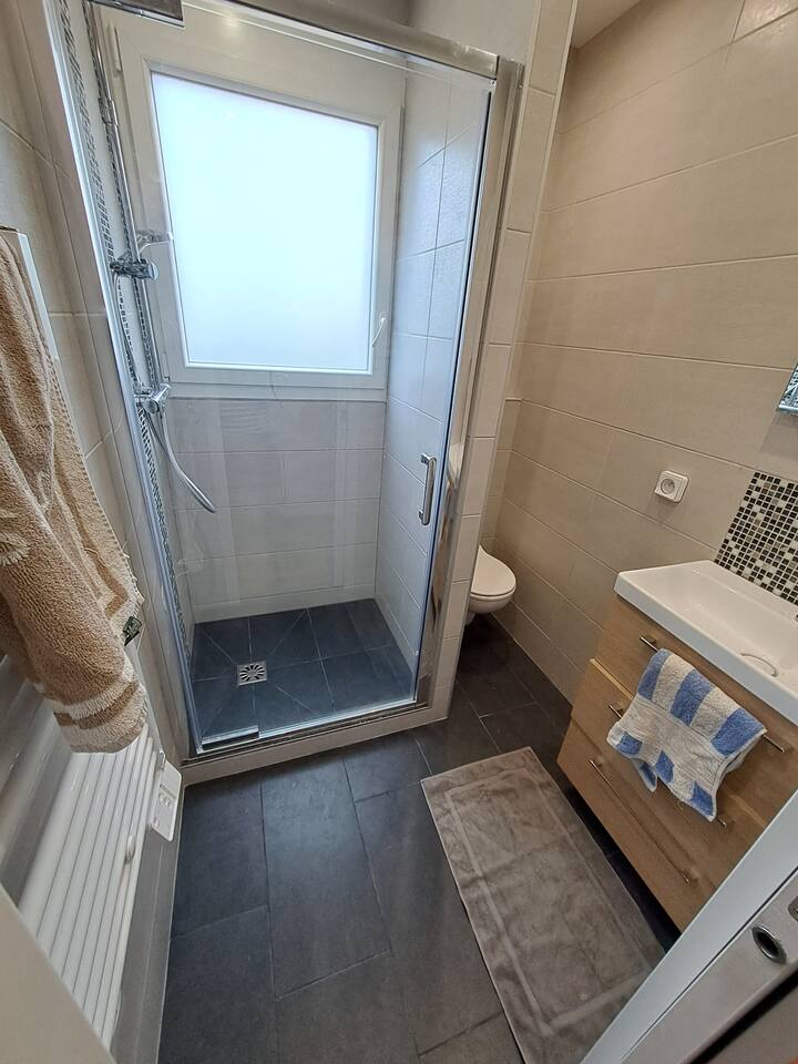 Chambre De 20m² Indépendante, à 40min De Paris - Thoiry