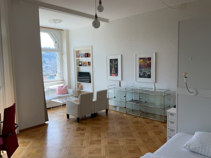 Big 1 Bed Apartm. Super Central - St. Gallen
