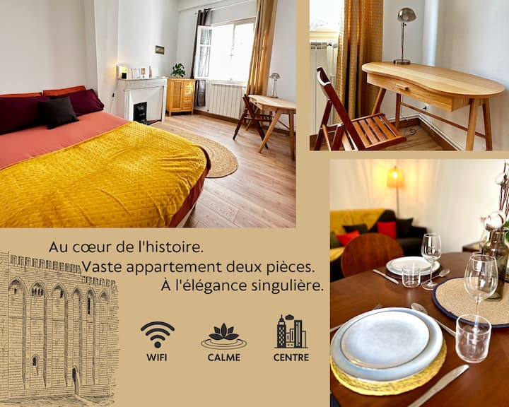 Grand T2 De Caractère - Avignon