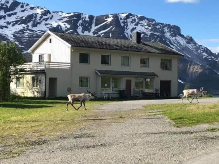 Fred Og Ro På Storsandnes - Alta