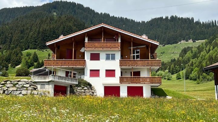 Ruhiges Apartment Mit Bergpanorama - Disentis