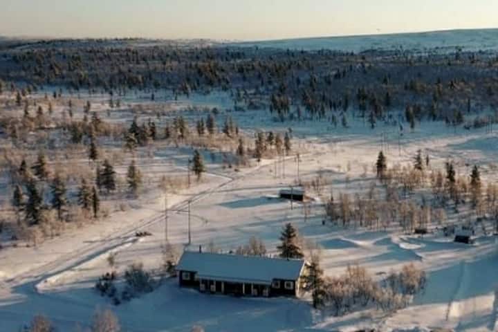 Twin Peaks Urupää B Saariselkä - Inari