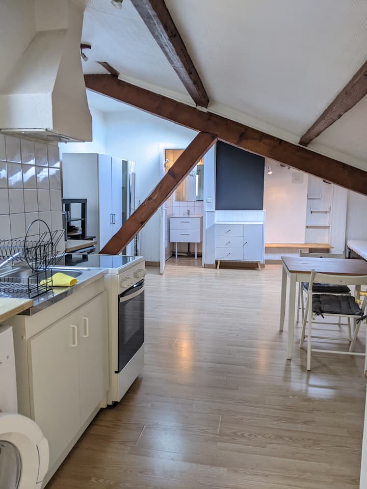 Grand Studio Lumineux Climatisé - Perpignan