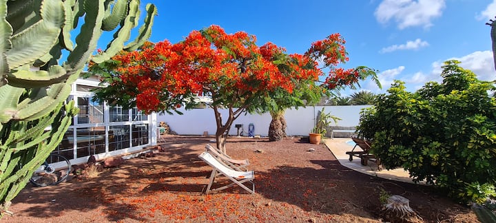 Villa Solal - Playa Blanca