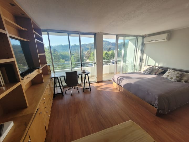 Lindo Estudio Providencia - Providencia