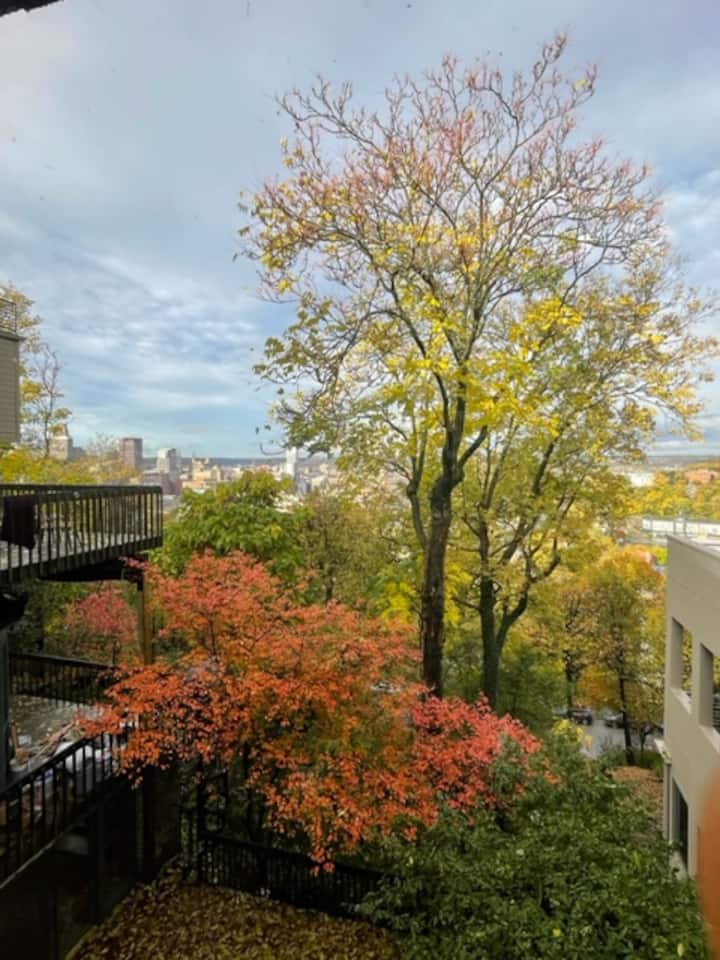 Mt Adams Sunsets In An Architectural Marvel! - Cincinnati