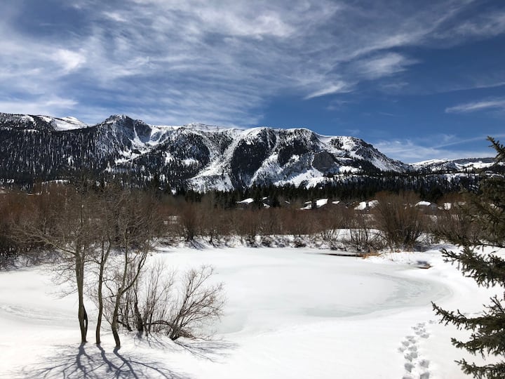 Beautiful Mountain Views - Mammoth Lakes, CA