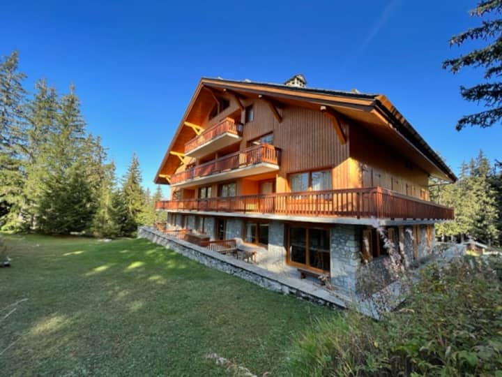 Superbe Appartement à Méribel - Méribel