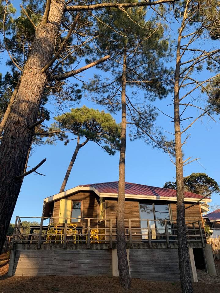 Le Châlet 3* à L'orée De La Forêt Et La Mer - Mimizan