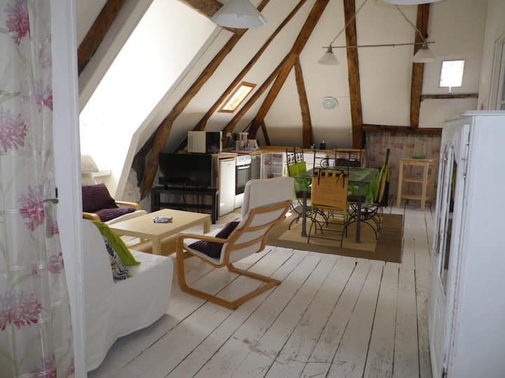 Appartement Cocon Sous Les Toits - La Tour-d'Auvergne