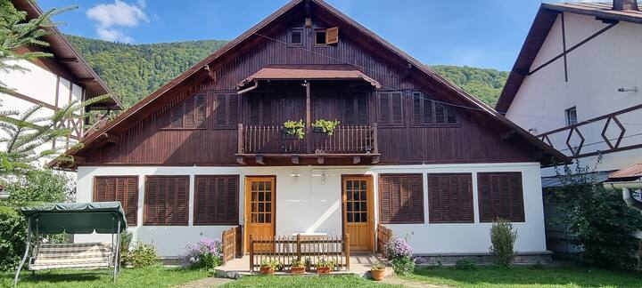 Vila Panselutelor - Sinaia