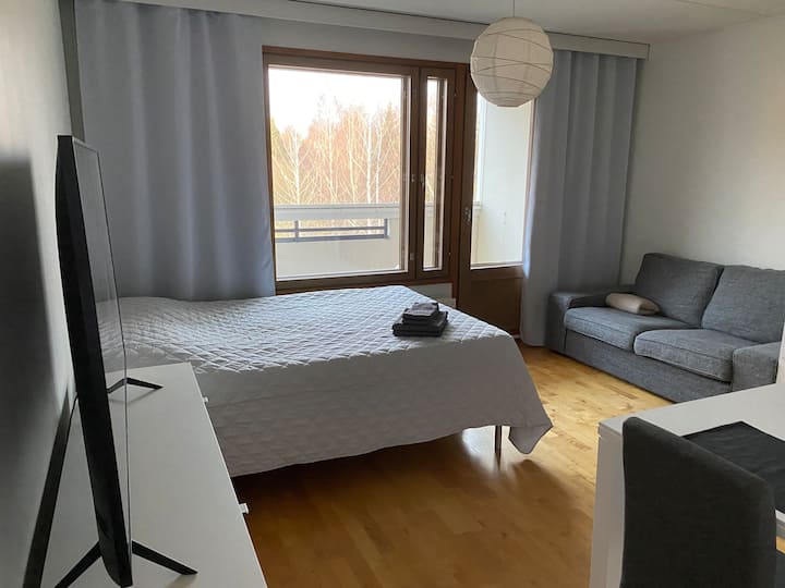 Viihtyisä Ja Rauhallinen Yksiö - Kerava