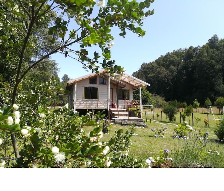 Cabañas Aliwen Panguipulli - Panguipulli