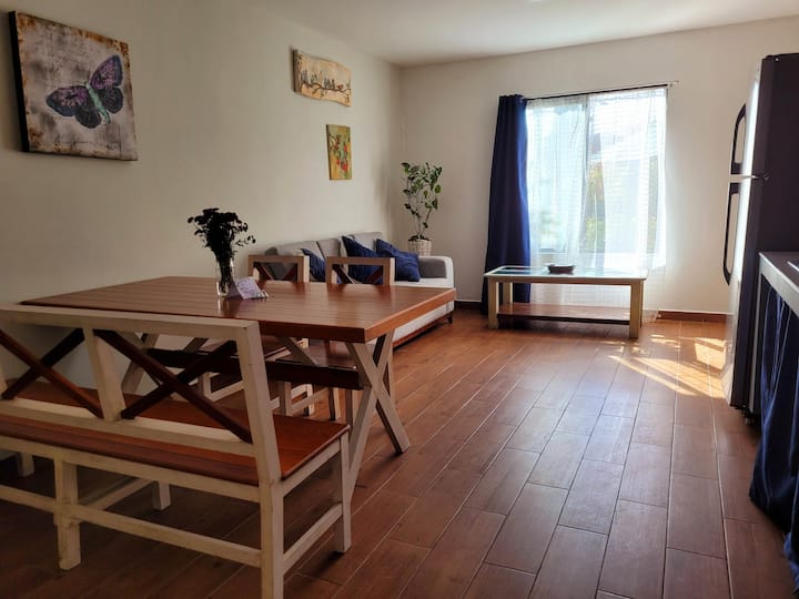 Depto. Atacama - San Cristóbal de las Casas