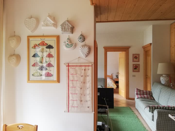 Magnifique Appartement à La Montagne Plein Confort - Sappada