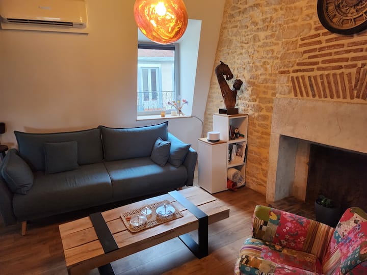 Appartement Duplex Centre Ville - Dijon