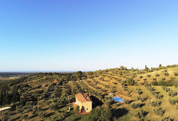 Dreamhouse Ideal For Two Families. Fantastic Pool - Bibbona