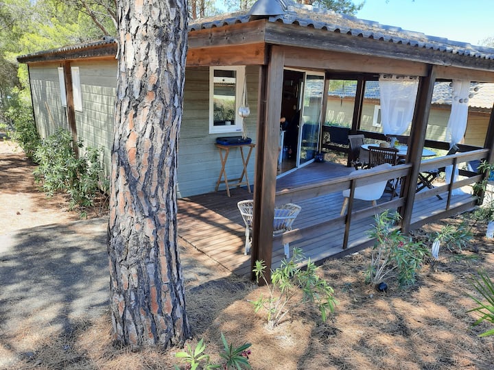 Joli Chalet Dans La Pinède - Agde