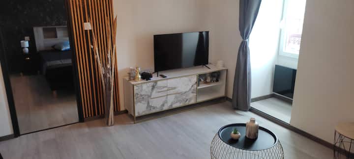 Appartement" Riesling" - Colmar