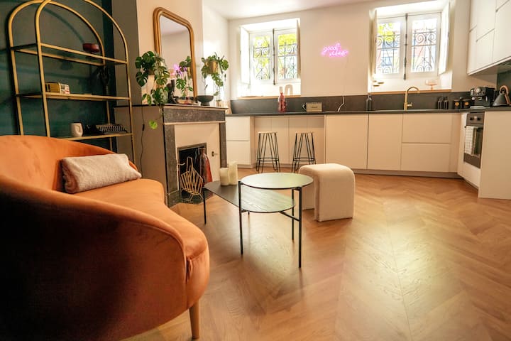 Chaleureux T2 En Hypercentre De Toulouse - Musée des Augustins