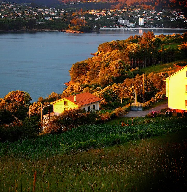 A Casa Do Bardo - Sada