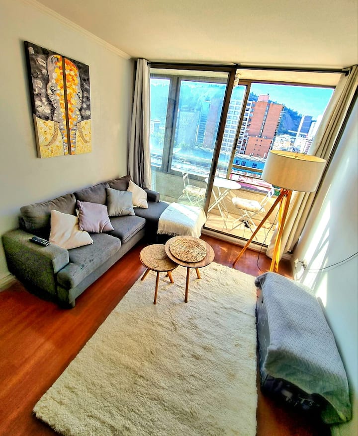Departamento En Providencia2d2b - Providencia, Chile