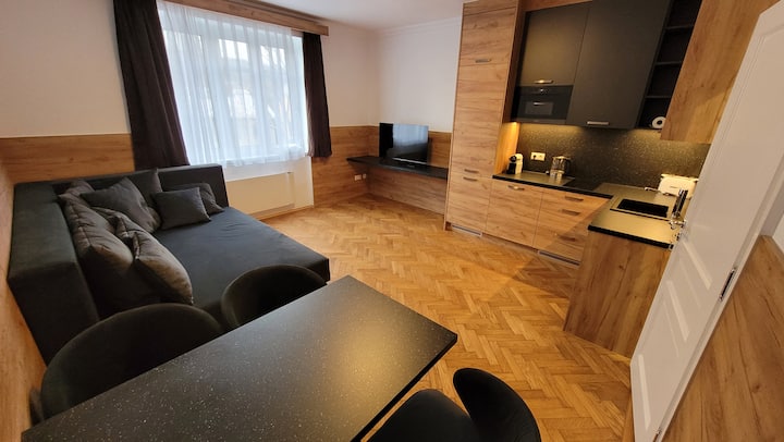 Vienna Premium Apartments Top 4 - Tulln