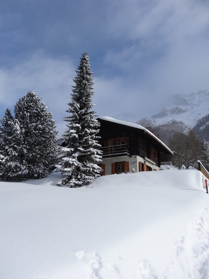 Chalet 4 Lits - Arolla