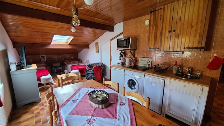 T2 52 M2 Pied Des Pistes - Ancelle