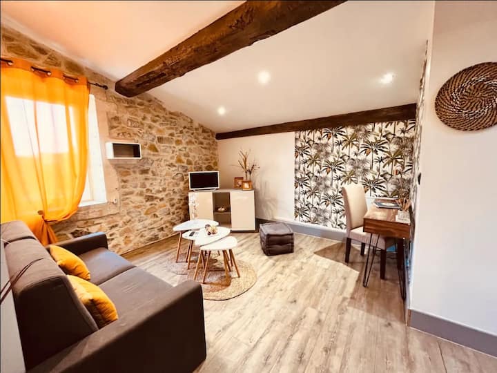 Le Cocon Charmant Studio - Nîmes
