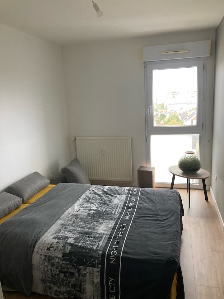 Chambre Dans Un Appartement - Angers